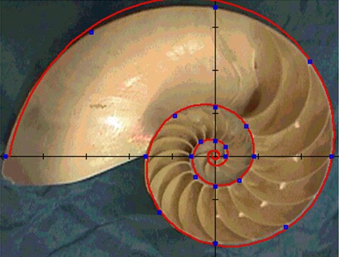 The Golden Ratio – Full Potential Learning Academy